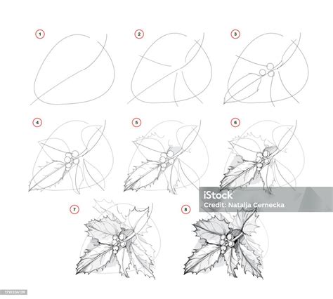 페이지는 홀리 베리 가지를 스케치하는 삶에서 그리는 법을 배우는 방법을 보여줍니다 연필 그리기 수업 아티스트를 위한 교육