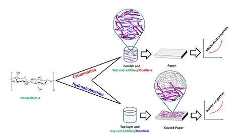 A Comprehensive Review Of Nanocellulose Modification And Applications