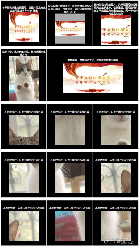 像uniapp Image标签一样对图片进行缩放和裁剪uniapp图片缩放 Csdn博客 像uniapp Image标签一样对图片进行缩放和裁剪uniapp图片缩放 Csdn博客