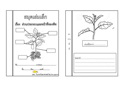 ใบงานวิทยาศาสตร์ By Kru ใบงานวิทยาศาสตร์ By Kru Panni