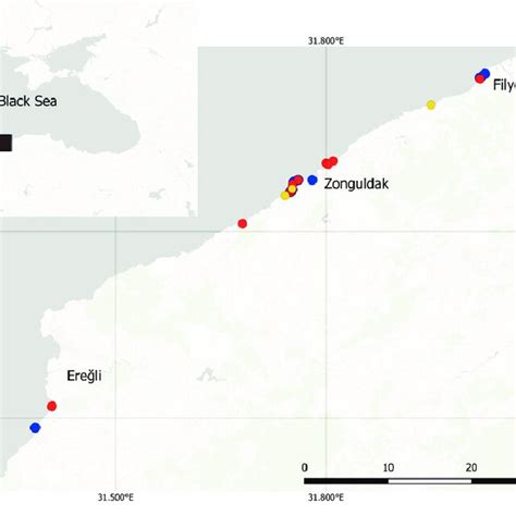 The Area Of The Surveys And The Locations Of The Cetacean Strandings
