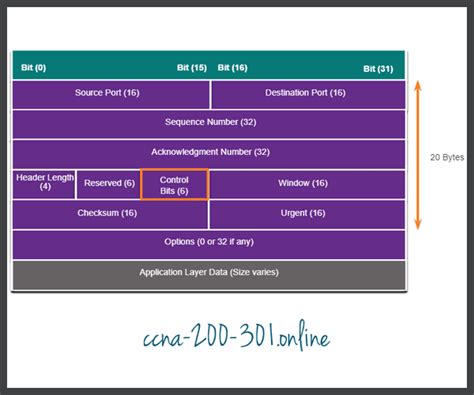 Tcp And Udp Vulnerabilities Ccna 200 301