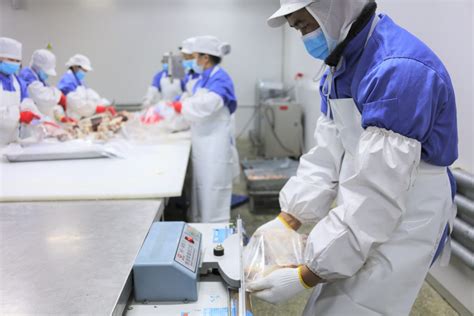 Монгол Улсын Ерөнхийлөгч Ухнаагийн Хүрэлсүх үндэсний үйлдвэрлэгч