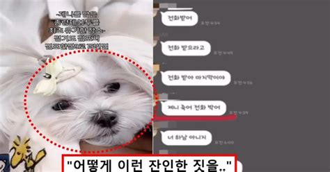 제니는 너 때문에 여자친구 반려견 쓰레기봉투 담아 유기한 남성에 모두 충격받았다