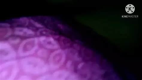 Kerala Kottayam Sex Xhamster