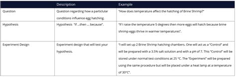 Hatching Brine Shrimp Eggs