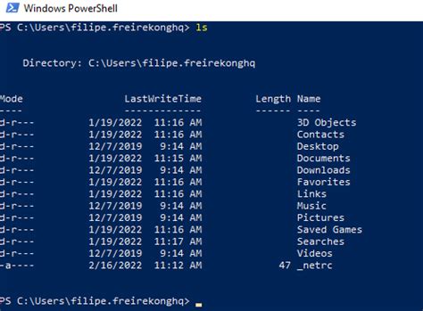 Netrc Authentication Does Not Work Under Windows Issue Kong Insomnia Github