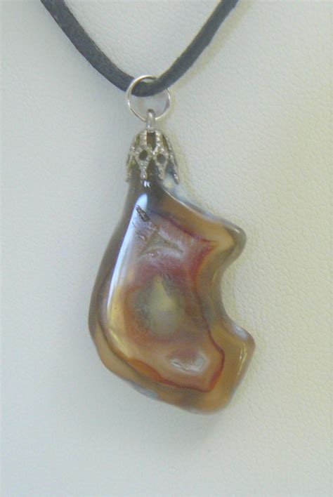 Fossilized Coral Agatized Coral Tampa Bay Silver Pend… Gem