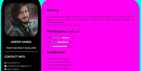 My New Responsive Cv With Html And Css Ameer Hamza Posted On The Topic Linkedin