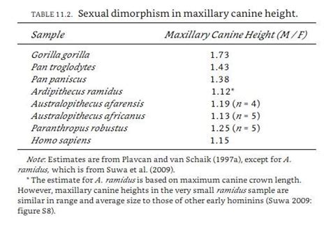 Does Male Competition Help Explain Human Sex Differences In Body Size Traditions Of Conflict