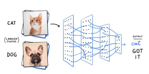 convolutional neural network cnn in r [part 1] by diana nabilla medium