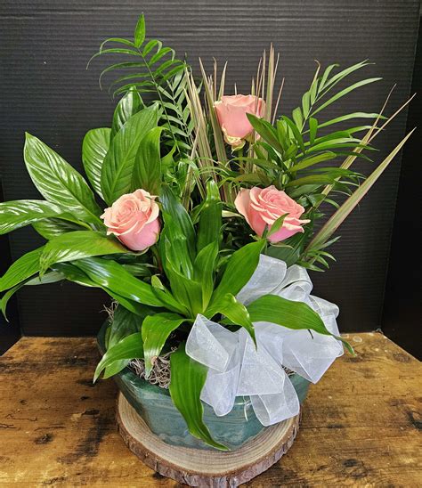 Plants Flower Delivery Wilmington Ma Designs By Don Florist