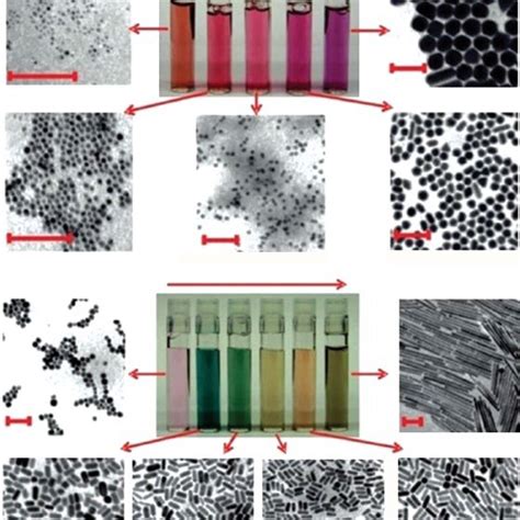 PDF Microbial Synthesis Of Nanoparticles