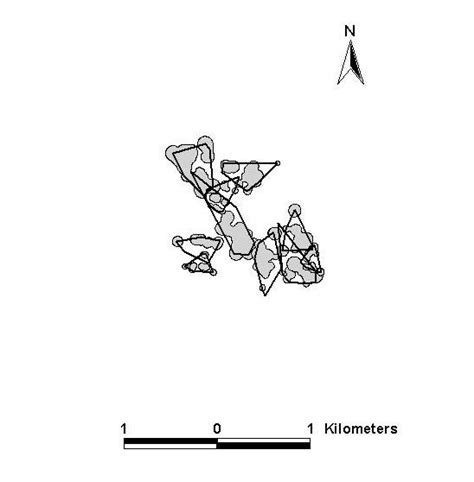 Graphical Display Of 100 Minimum Convex Polygon Mcp Dark Lines And Download Scientific