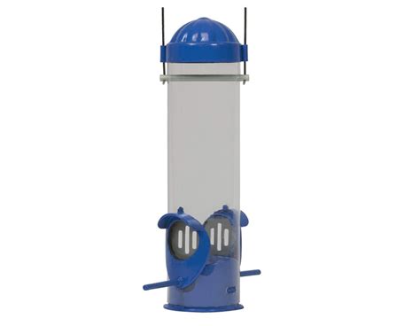 Top 10 Best Bluebird Feeders For 2023 Reviews Orbirds