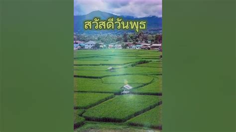 เหมือนข้าวคอยเคียว อรวี Goodmorning อรุณสวัสดิ์ วันพุธสีเขียว
