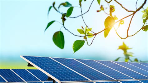 Jvvnl Issues Tender To Install 31 Mw Solar Projects For Feeder