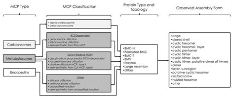 MCPdb Entry Annotations MCP Type Indicates The Broad Metabolic Download Scientific Diagram