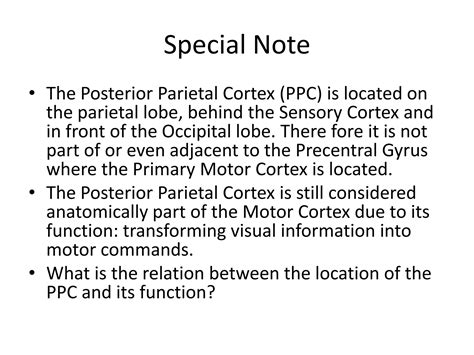 The Motor Cortex Ppt