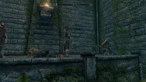 Serana Is Back At It Interrupting An Execution This Time😭 Rskyrim