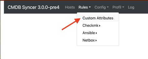 Custom Attributes Cmdbsyncer Documentation