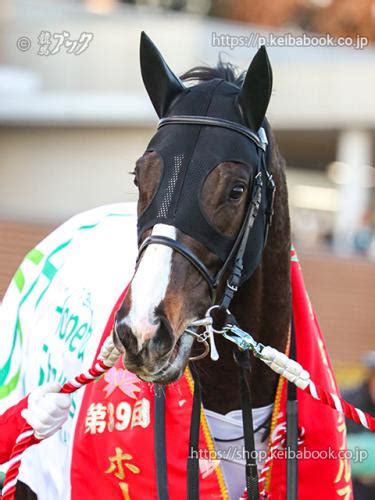 第39回 ホープフルs 回顧 競馬 研究ニュース