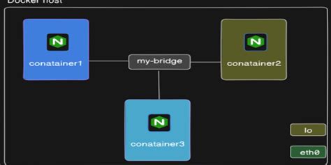 Communication Between Containers In A Custom Bridge Network Dev Community
