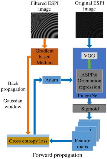 Structure Of The Proposed Convolutional Neural Network Used For Download Scientific Diagram