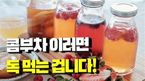 콤부차 이렇게 먹으면 독 먹는 겁니다 콤부차 효능 부작용 먹는법 하루 섭취 적당량까지 싹 다 알려드립니다 Youtube