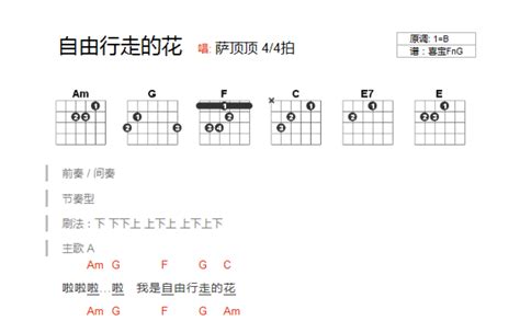 萨顶顶自由行走的花吉他谱 B调吉他弹唱谱 和弦谱 打谱啦