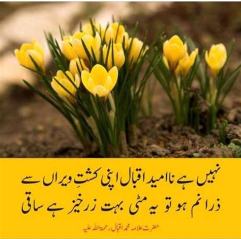 Syed Zaheer Shah Sabzwariافیشل