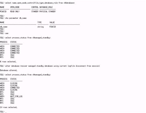 Rebuild The Standby Using Scn Based Incremental Backup Dba World