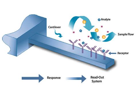 Publications • Viriginia Tech Biomanufacturing And Bionsensing Laboratory