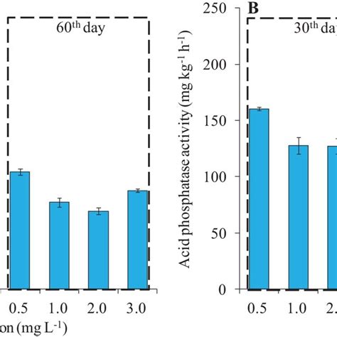 The Activity Of Alkaline Phosphatase And Acid Phosphatase In The Download Scientific Diagram