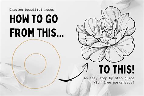 Simple Rose Drawing Step By Step