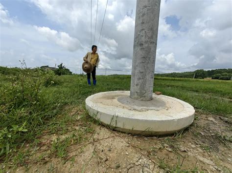 电杆建在农田里蚕食农田惹民怨 半月谈