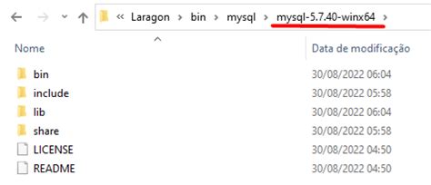 Update Phpmyadmin And Mysql Failed Leokhoa Laragon Discussion Github