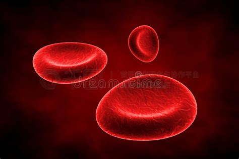 癌症高清图片 红细胞 红细胞图片免费下载 5084412100 千图网pro
