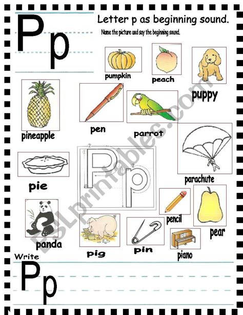 Abc Letter Pp And Sentences Esl Worksheet By Annyj