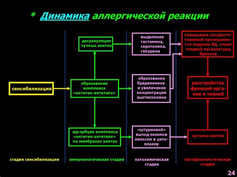 Аллергия - online presentation