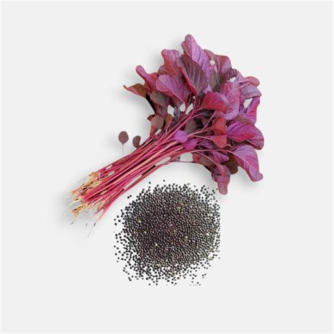 Buy Red Amaranthus Imp Seeds 6gm Online At Best Price