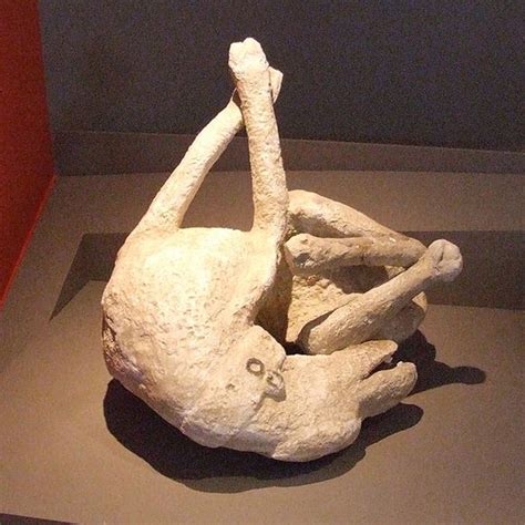 Pompeii Cast