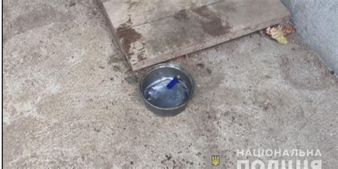 В Одесской области 12 летний мальчик случайно застрелил друга из ружья — новости Одессы Nv