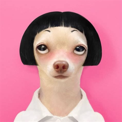 คิ้วคือมงกุฎของแค