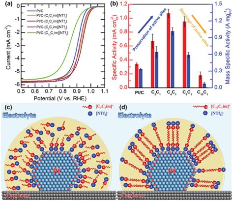 A Orr Polarization Curves Of Pristine And Il Modified Ptc Catalysts Download Scientific