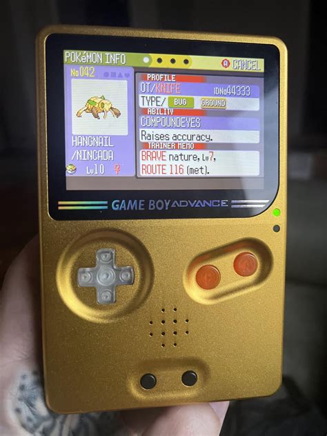 [gen 3] A Future Shedinja Member 2 Of Sapphire Dtq R Shinypokemon