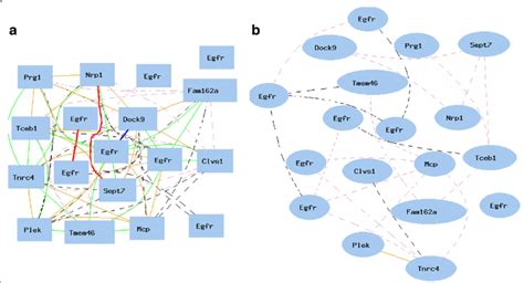 Confirmation Of Negative And Positive Correlations Between Egfr And Key