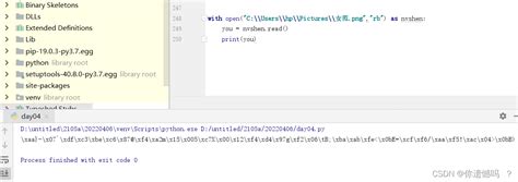 Python的文件操作和异常处理rb权限 文件 Csdn博客