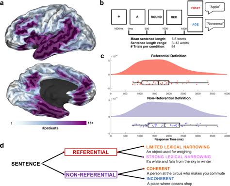 Limitations Of Spatiotemporal Resolution Have Rendered It Difficult To