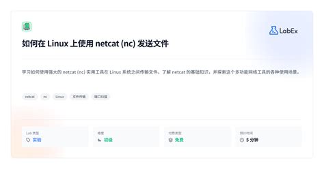 如何在 Linux 上使用 Netcat Nc 发送文件 Labex